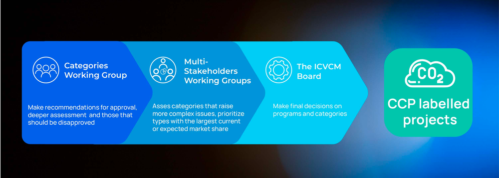 The Core Carbon Principles: Leading the Way for a Sustainable Future?
